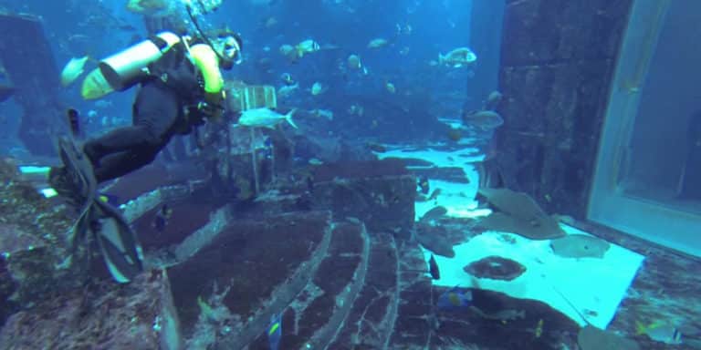 Scuba Diving in Dubai - United Arab Emirates | Skyland Tourism